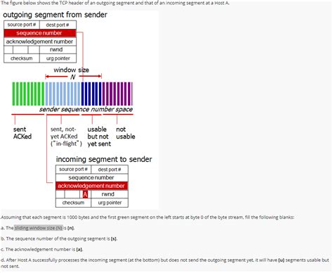 Solved The Figure Below Shows The TCP Header Of An Outgoing Chegg