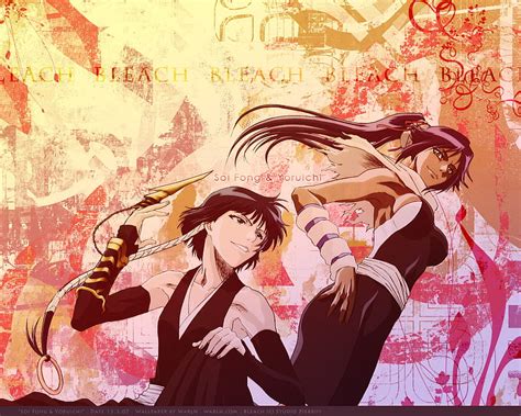 Yoruichi And Soifon Wallpaper
