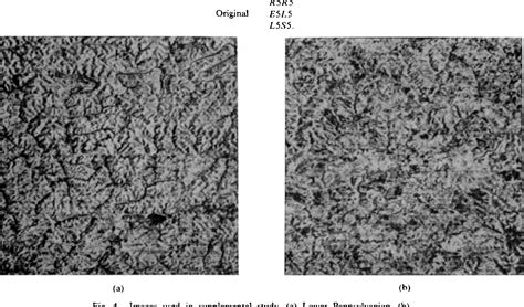 figure 4 from experiments with texture classification using averages of