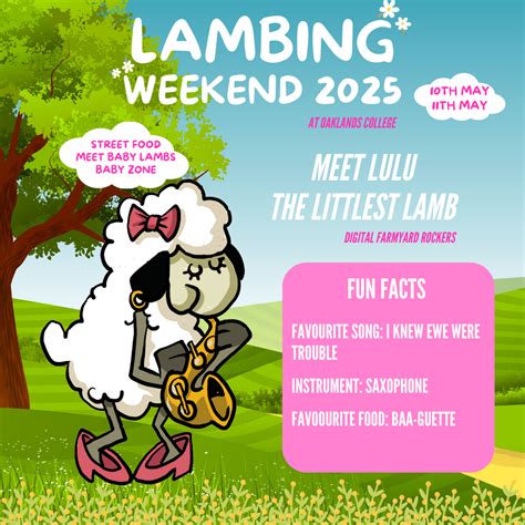 Oaklands College Lambing Weekend May 2025