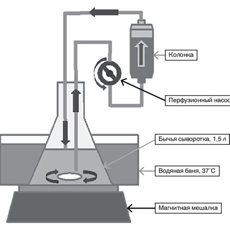 Perfusion Circuit Flow Chart Download Scientific Diagram
