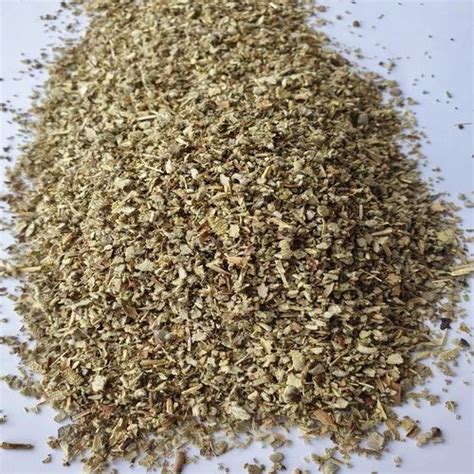 Sage Leaves Cut At Best Price In Indore Madhya Pradesh Lehar Overseas