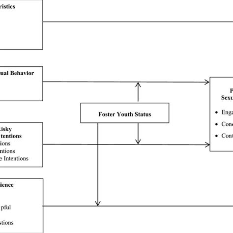Conceptual Model To Examine The Post Programming Sexual Behavior Download Scientific Diagram