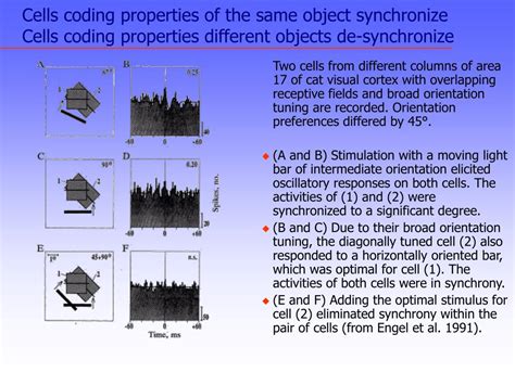 PPT Semantic Models In Neural Networks PowerPoint Presentation Free Download ID
