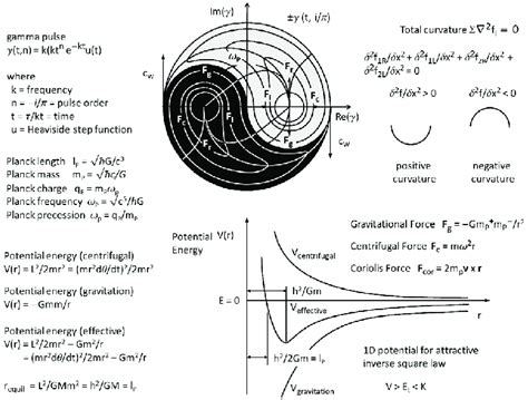 Spin Dynamics Of A Rotating Planck Dipole Of Positive And Negative Download Scientific Diagram