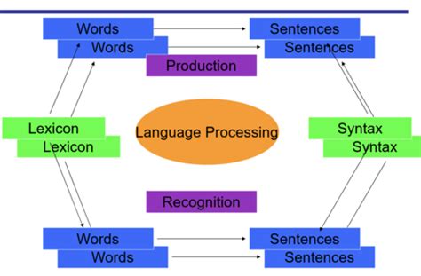 Bilingual Processing Flashcards Quizlet