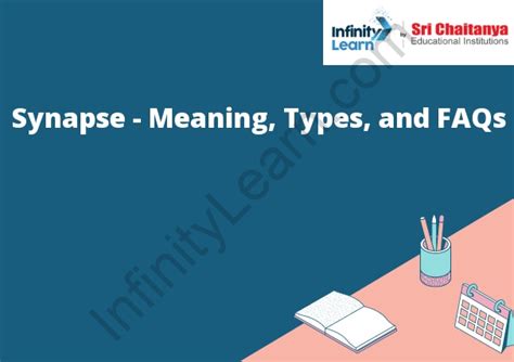 Synapse Meaning Types And Faqs Infinity Learn By Sri Chaitanya