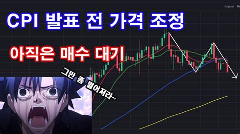 코인헬퍼 01월 13일 저녁방송 비트코인 실시간 분석 Cpi 발표 전 하락 저갱이 필요한 때 Youtube