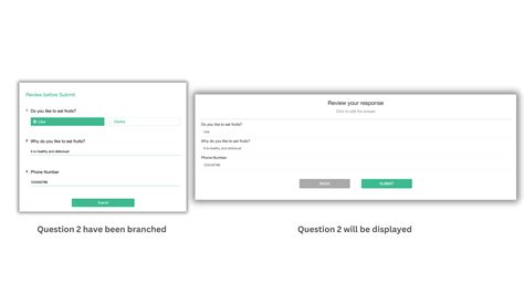 review before submit｜surveycake help center