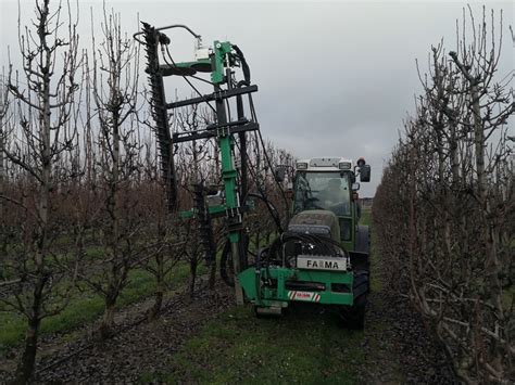 Lopping Machines For Orchards Fa Ma Pruning System