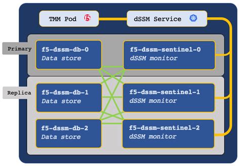 Dssm Database