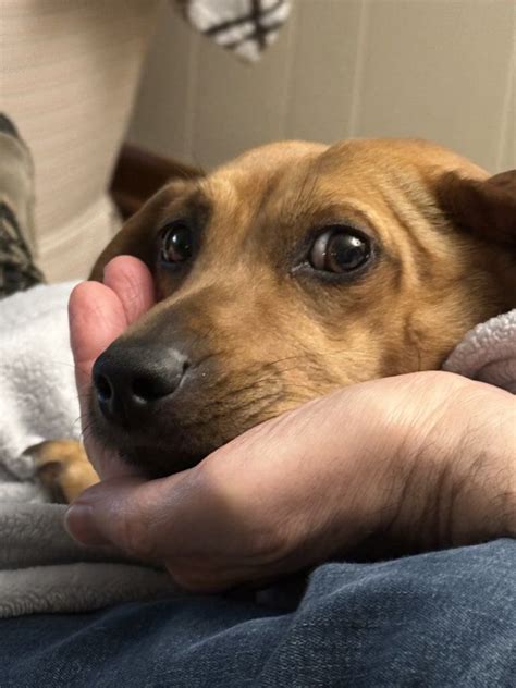 Ted Fireman Business Ownership Guide Risk Manager On Linkedin