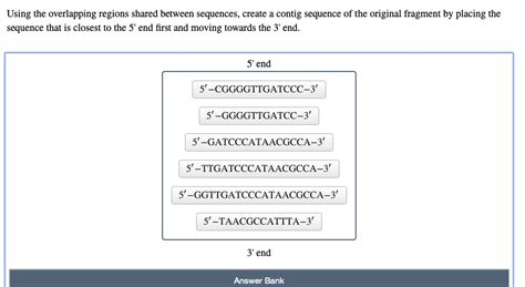 Solved A Linear Piece Of Dna Was