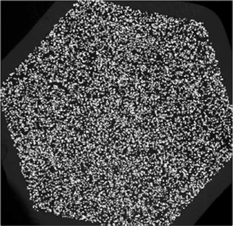 Image Of A Monochrome Ccd Camera Of The Fluorescence Pattern Of An Download Scientific Diagram