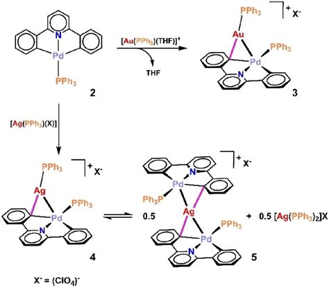 Scheme 3 Synthetic Pathways Leading To Heterodinuclear Complexes 3 And