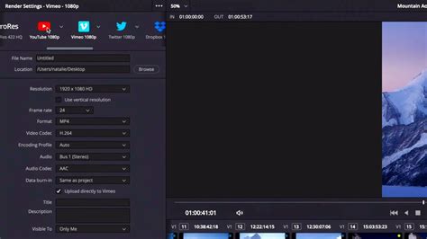 Davinci Resolve 181 Released Social Media Support Utilization Of