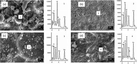 Scanning Electron Micrographs Sem And Energy Dispersive X Ray