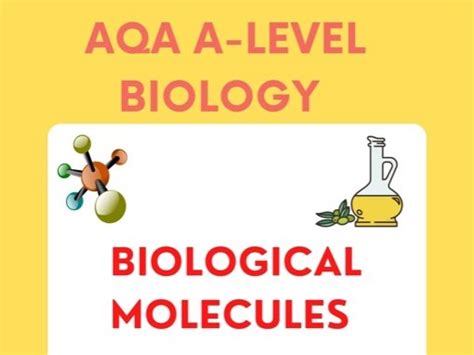 AQA A Level Biology Chapter Biological Molecules Notes Teaching Resources