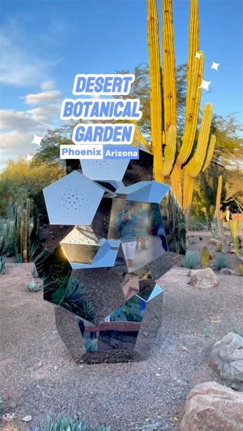 Desert Botanical Garden Arizona Map