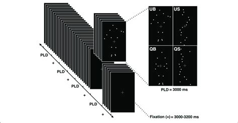 Schematic Illustration Of The Stimuli Presentation Protocol Each Download Scientific Diagram