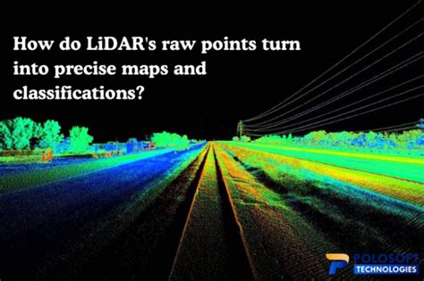Next Level Forest Insights Through Tree Classification And Feature Extraction Blog Polosoft