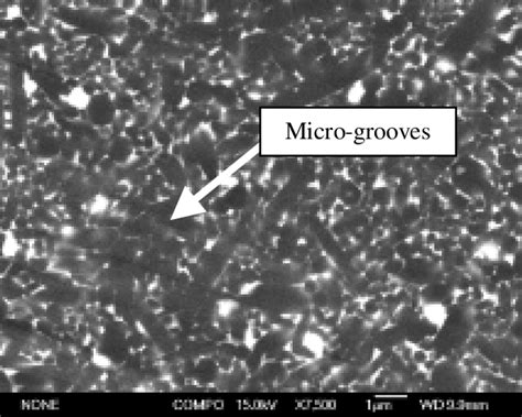 Microstructure Sem Of The Silicon Nitride Ball Worn Surface With Fo1