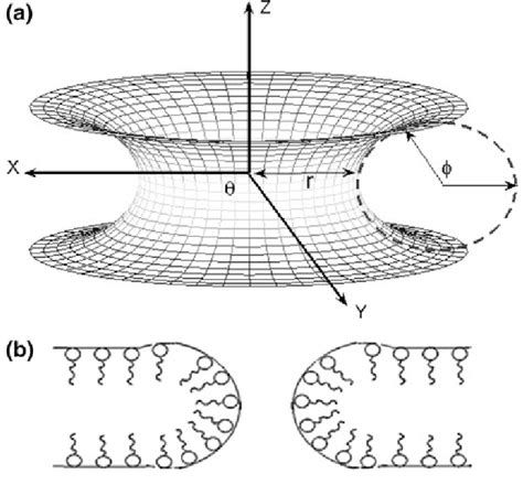 Schematics Of Pore Shapes A The Toroidal Shape Considered And B Download Scientific Diagram