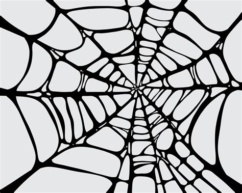 Spiderweb Net Clip Art Pattern Clothing T Shirt Apparel Design