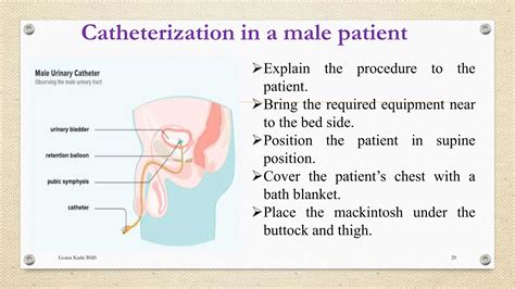 Urinary Catheterization Definition Indication Types Procedure Pptx
