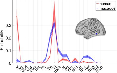Whole Brain Comparative Anatomy Using Connectivity Blueprints Elife