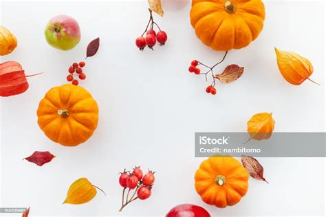 가을 작곡 호박 흰색 배경에 사과 가을 가을 추수 감사절 개념 플랫 레이 0명에 대한 스톡 사진 및 기타 이미지 0명 10월 11월 Istock