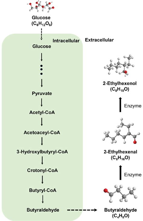 Integrated Biocatalytic And Chemocatalytic Pathway For 2 Ethylhexanol Download Scientific