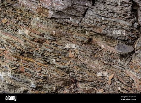 Most Of The Rocks Exposed At The Surface Of Earth Are Sedimentary Rock Sedimentary Rocks Are