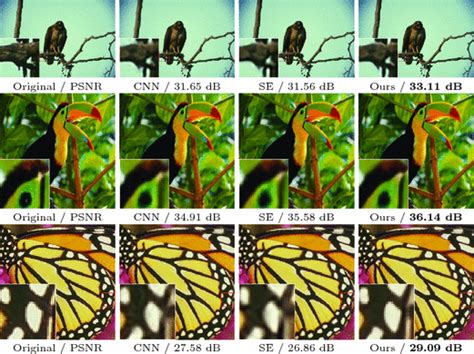 deep markov random field for image modeling springerlink