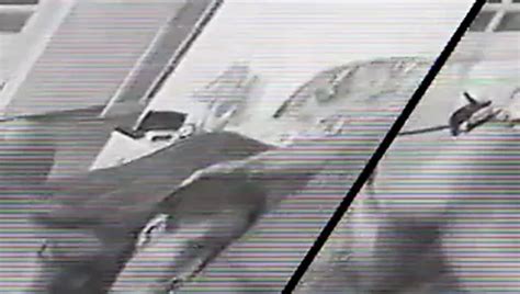 Free Perfect Body Anal Porn Videos Xhamster