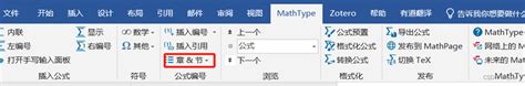 Word中设置mathtype右编号和引用mathtype右编号怎么改 Csdn博客