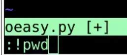 oeasy python 在vim中直接运行python程序 overmind 博客园