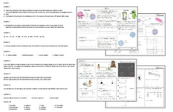 Fossil Fuels Fractional Distillation By Amigo Education TPT