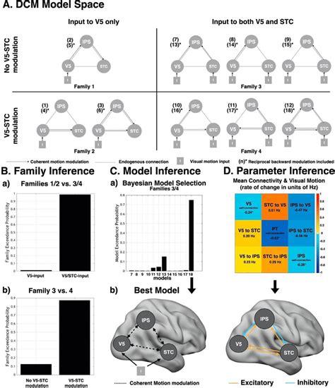 Dynamic Causal Modelling Analyses A The 18 Dcms Used For Bayesian