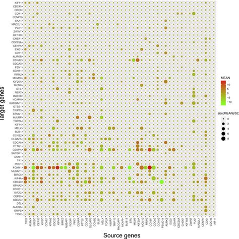 Example Format For The Clinical Transcriptomic Data Download