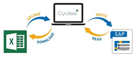 Sap Cost Allocation Cycle At Crystal Blackwell Blog