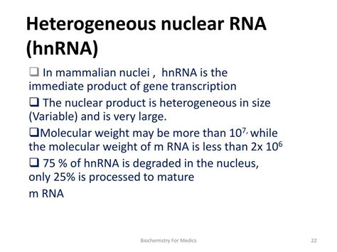 Ppt Rna Tertiary Structure Powerpoint Presentation Free Download