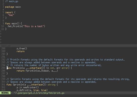 Programming With Go In Vim Blog Myitcv Io