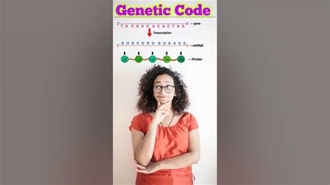 Genetic Code Genetic Code Class 12 Genetic Code Class 12 Biology