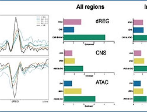 Borzoi Predicting Rna Seq Coverage From Dna Sequence As A Unifying