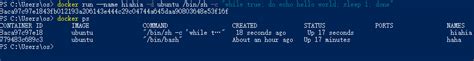 docker——入门实战 docker实战 csdn博客