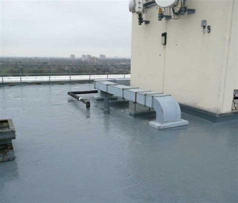 Polyurethane Odourless Waterproofing Coating Cactus
