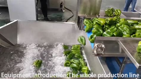 Frozen Fruit And Vegetable Processing Production Line Frozen Carrot Cubes