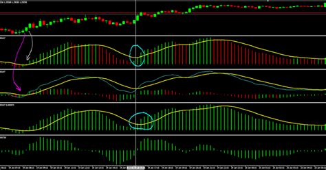 MACD Histogram Indicator