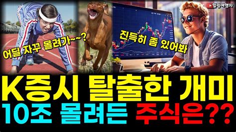 힐링여행자 투자 이야기 K증시 탈출 러시 10조 들고 몰려간 주식은 우리의 뇌가 자꾸만 단타를 쫓는다고 뇌가 장기 투자를 방해하는 이유는 Youtube
